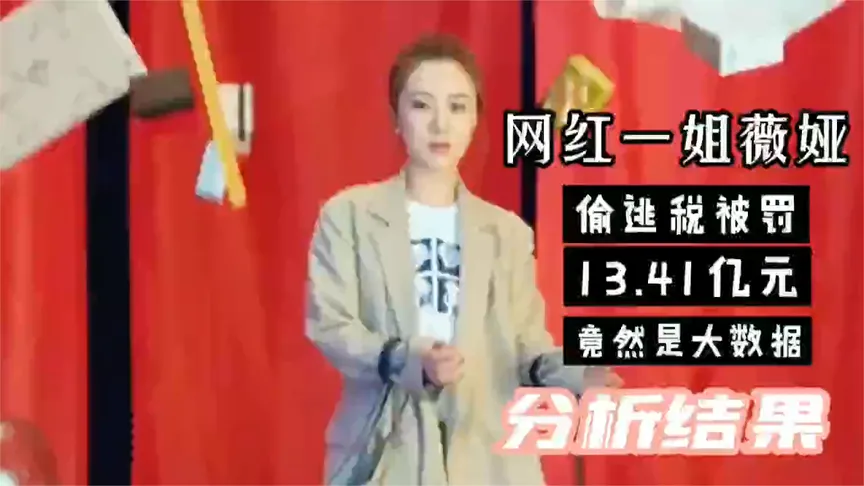 网红一姐薇娅偷逃税被罚13.41亿元,原来竟然是大数据分析结果