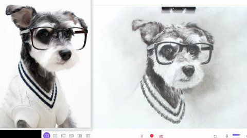 超真实素描狗狗详细绘画教程,居然这么可爱,可收藏学习!