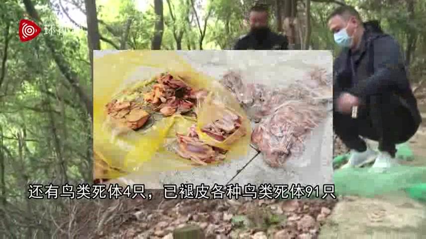 疫情期竟捕杀野生动物!厨师夫妻被抓,打开家里冰箱触目惊心