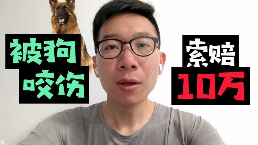 被狗咬伤后索赔10万,你觉得多不多?养狗必须得尽到主人的责任