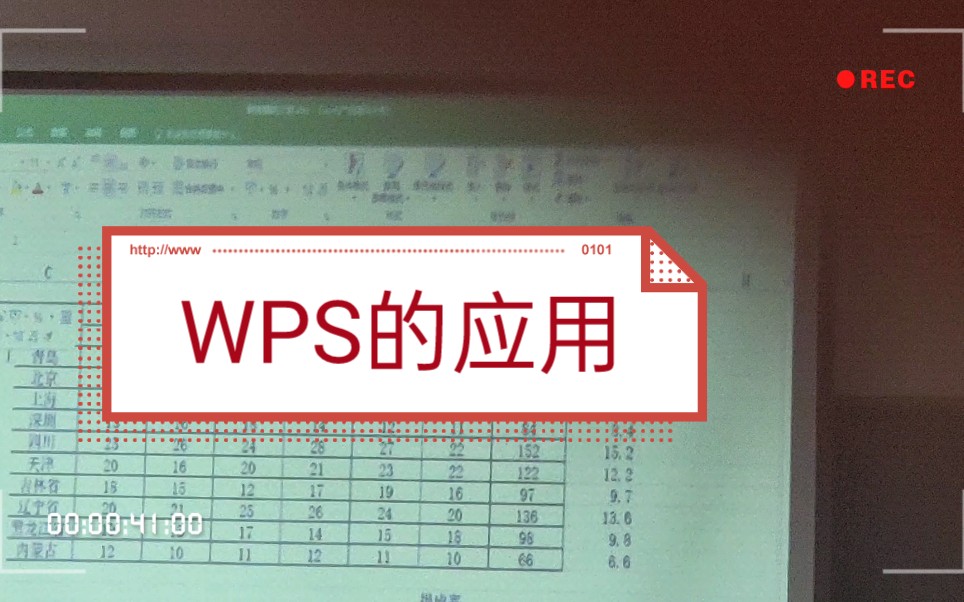 WPS的应用