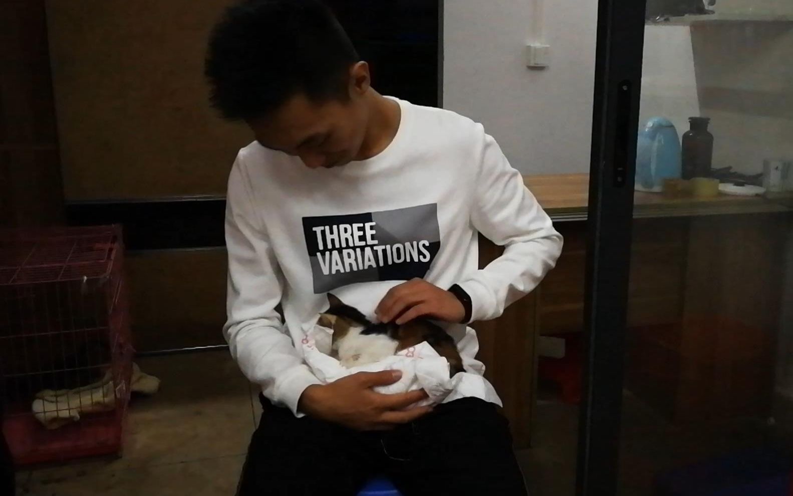 【捡猫】记录第三百七十三天,带花花回佛山治疗!