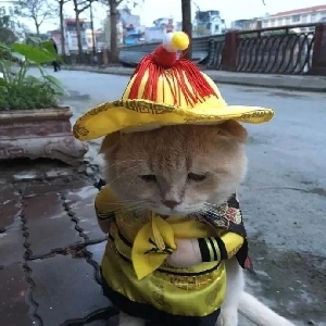 亮仔在路上丶 