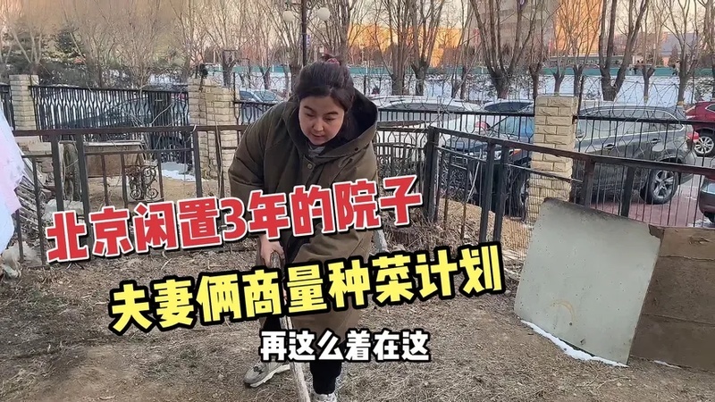 北京六环闲置3年的院子,夫妻俩商量种菜计划,看他们规划的咋样