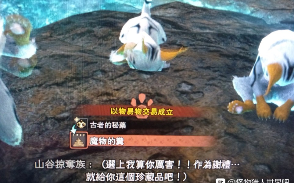 怪物猎人世界冰原武器幻化方法(附自用键位和画面设置)