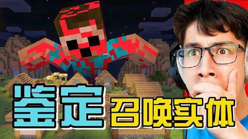 《我的世界》大神竟召唤出实体史蒂夫?结局反转惊掉下巴!