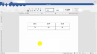 【Speedoffice教程】Word表格如何消除边框?