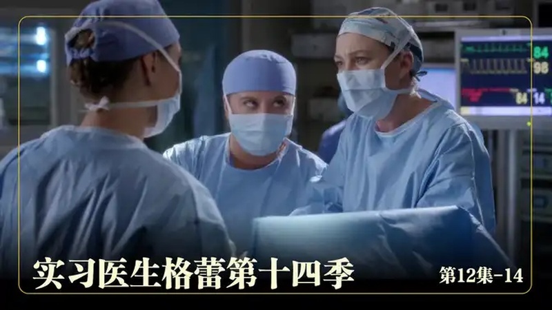 实习医生格蕾第十四季:腹腔长小脾脏?奇迹还是危机?(156)