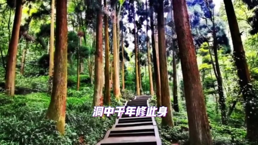 《青城山》世界文化遗产四大道教名山五大仙山,全真龙门派圣地。