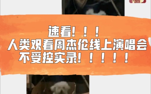 速看!人类观看周杰伦线上演唱会不受控实录!