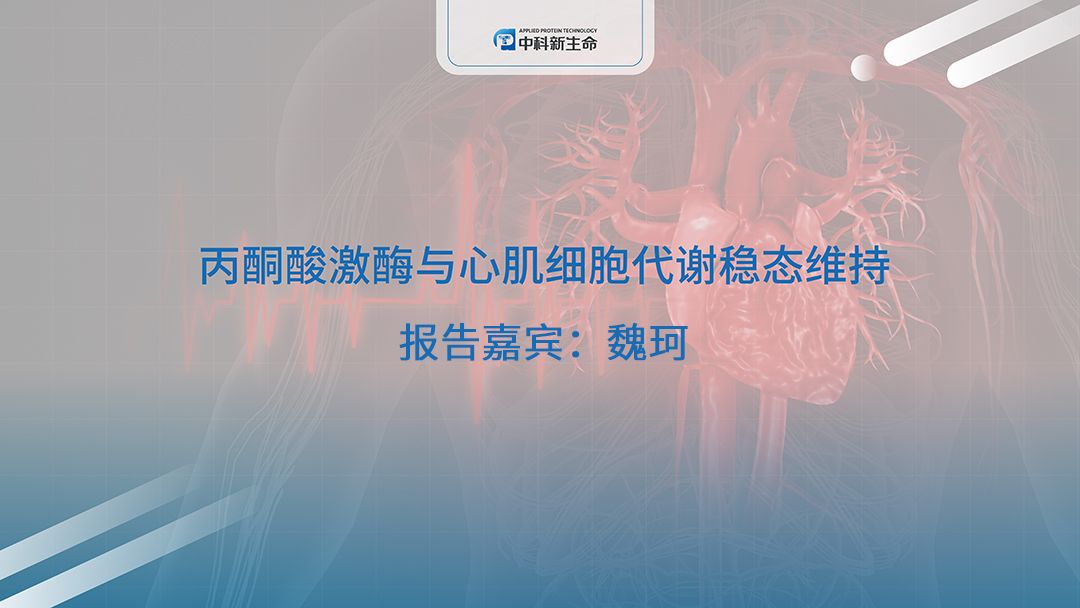 中科新生命-丙酮酸激酶与心肌细胞代谢稳态维持