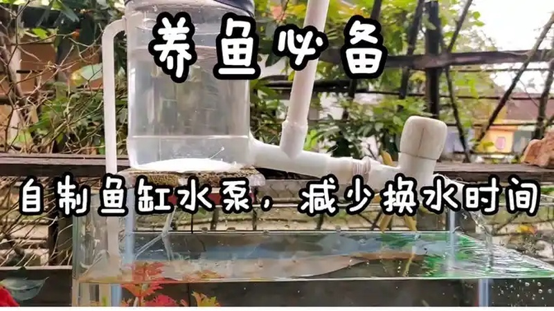 养鱼必备:教你在家制作鱼缸水泵,简单还便宜
