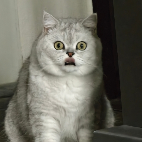 Yjate 