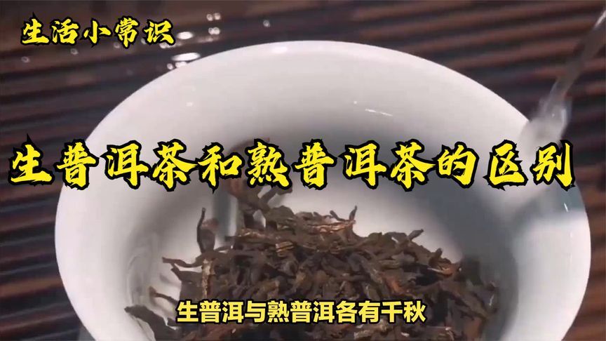 生普洱茶和熟普洱茶的区别,生普vs熟普:品味两者的独特韵味!
