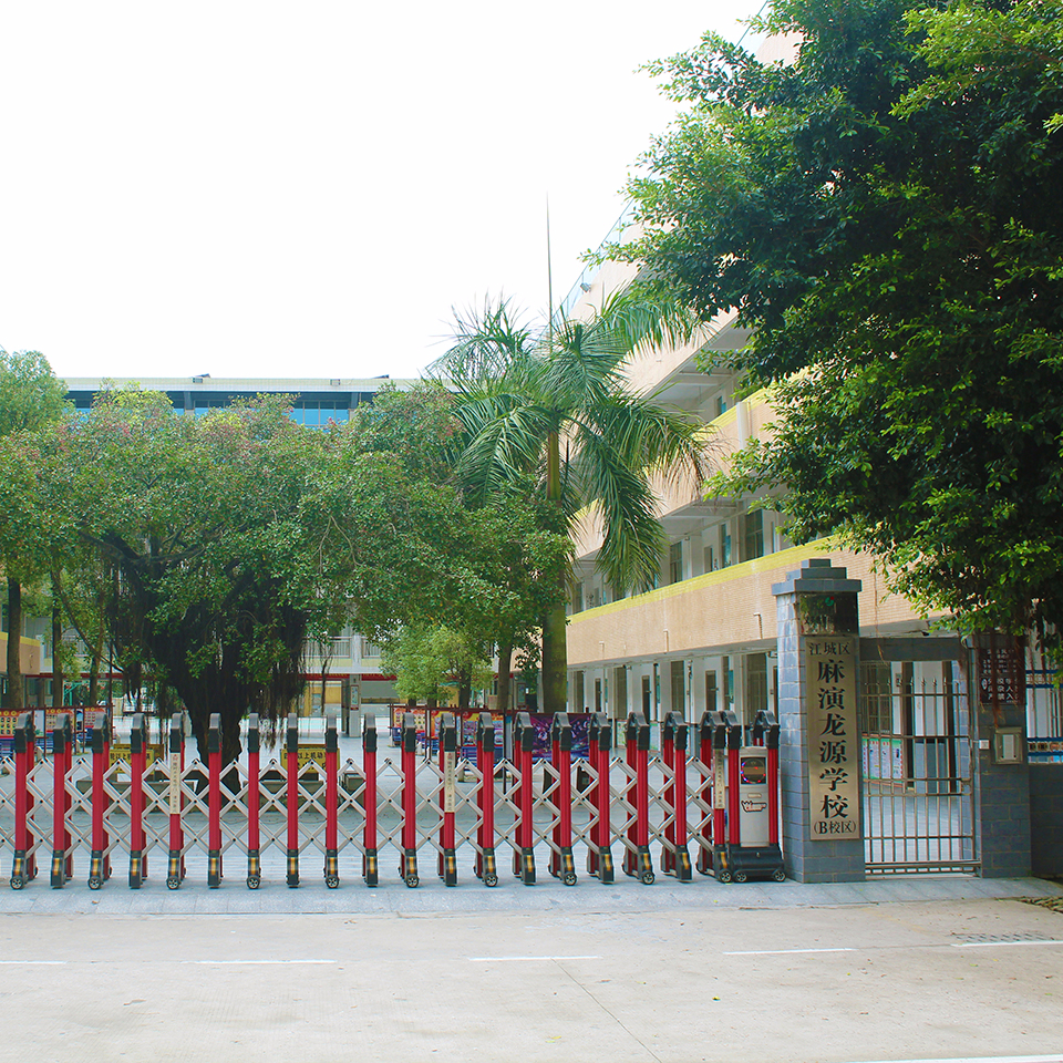 麻演龙源学校 