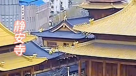 今天的大美中国,让我们一起走进上海!#上海#旅行推荐官