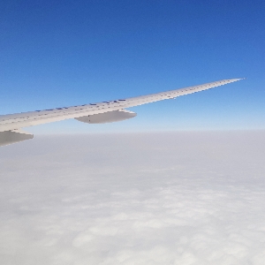 曾妃妃flyflying 