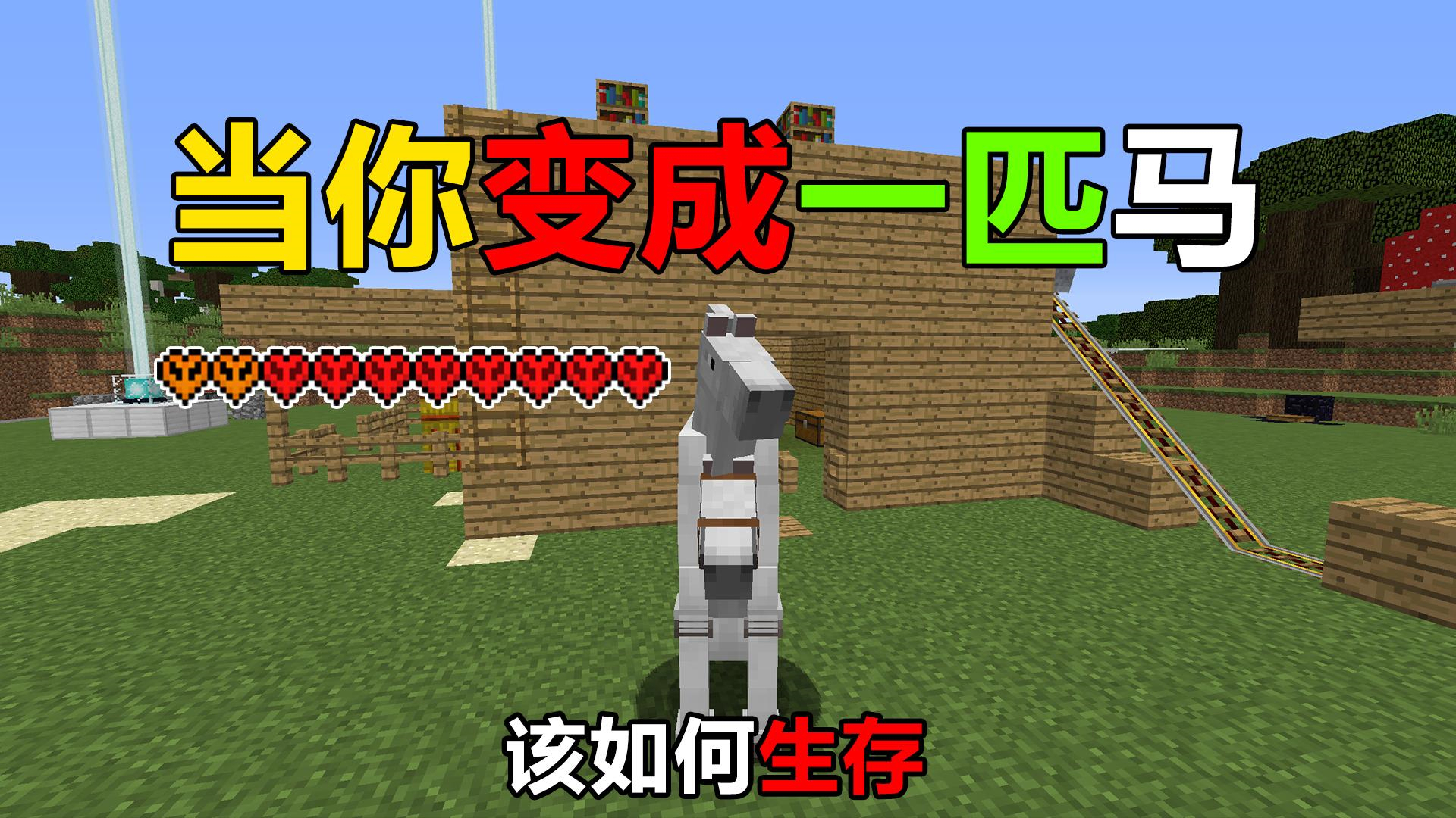 我的世界:变形生存模式,当我变成马后,有点懵