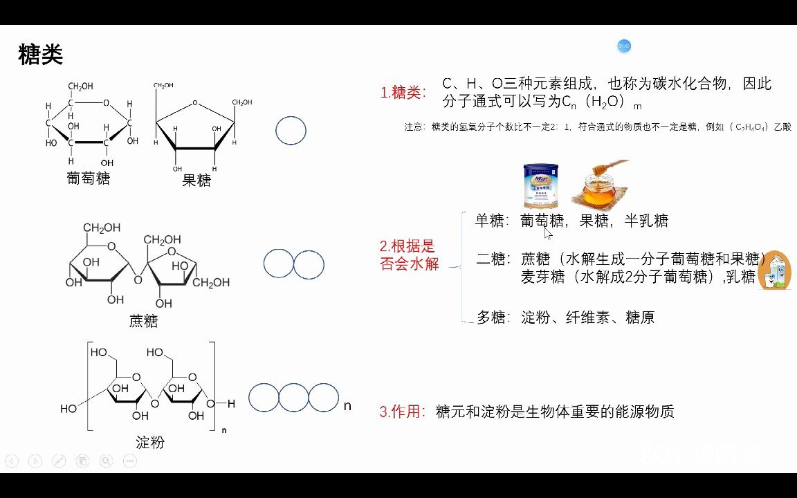 高中生物必修一(浙教版) 1.3 有机物及生物大分子