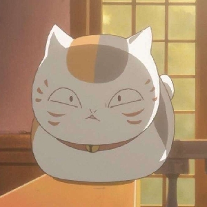 不喜欢嘻嘻的哈哈 