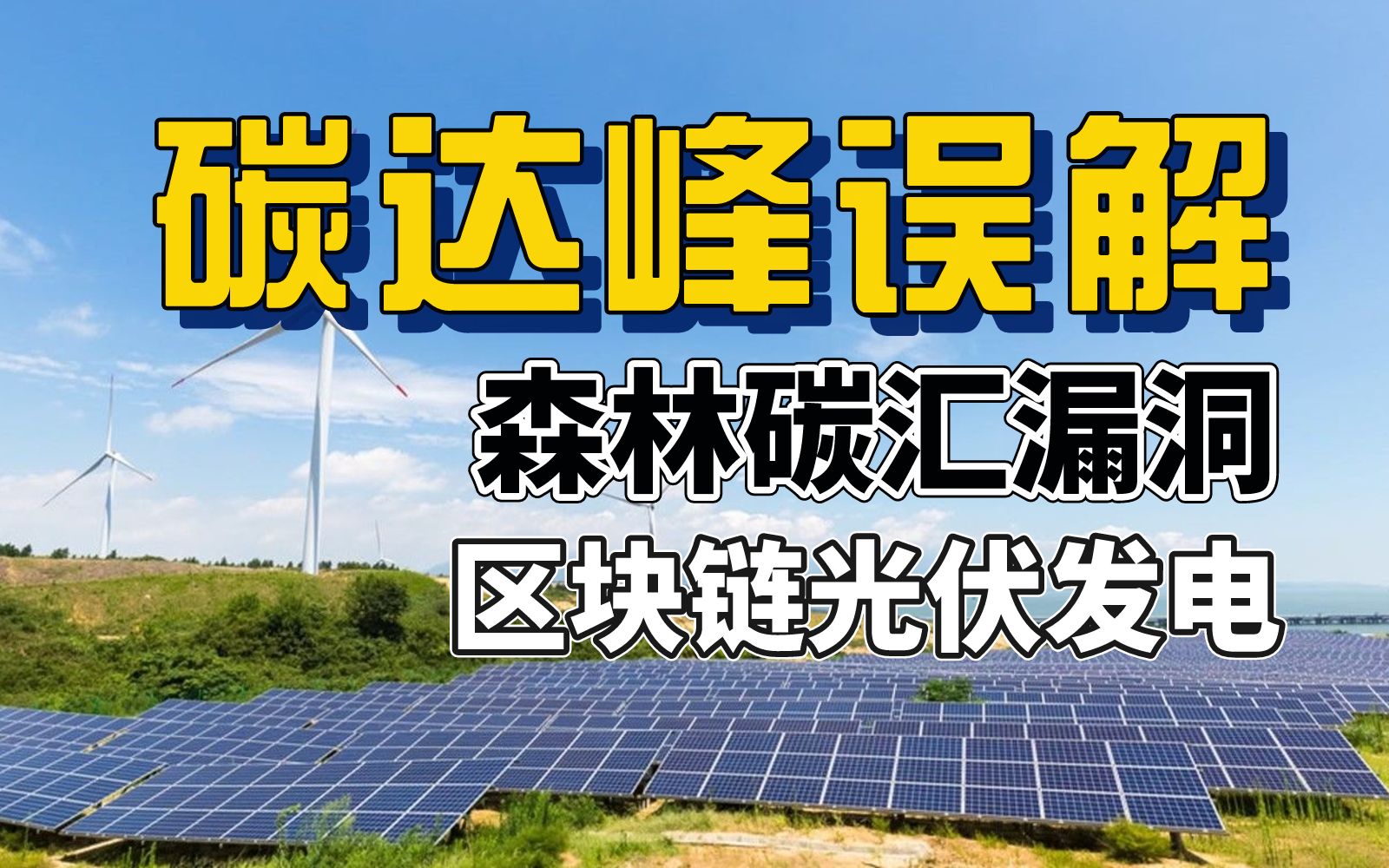 【复旦赵斌】碳中和vs碳达峰误解 | 森林碳汇漏洞 | 区块链光伏发电