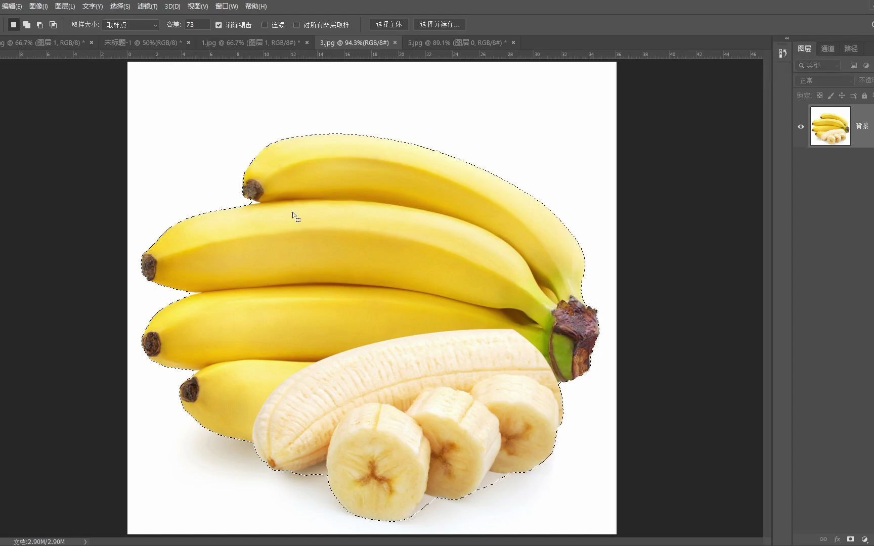 你会使用磁性套索工具吗 PS选区工具使用介绍 Photoshop入门学习