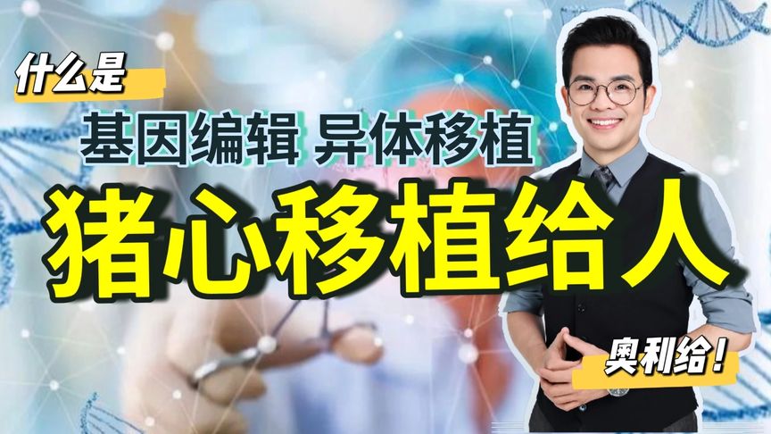 世界首例:美国男子移植猪的心脏,不排斥吗?靠的是基因编辑!