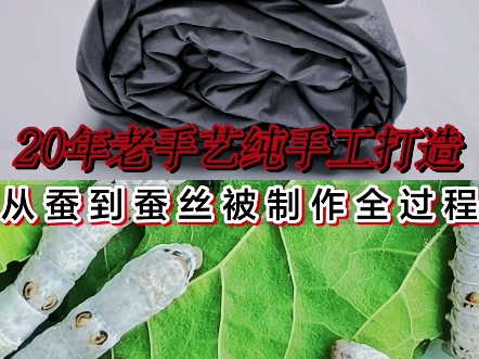 快来学习从蚕变蚕丝被制作全过程,提前科普预防入坑ߑ