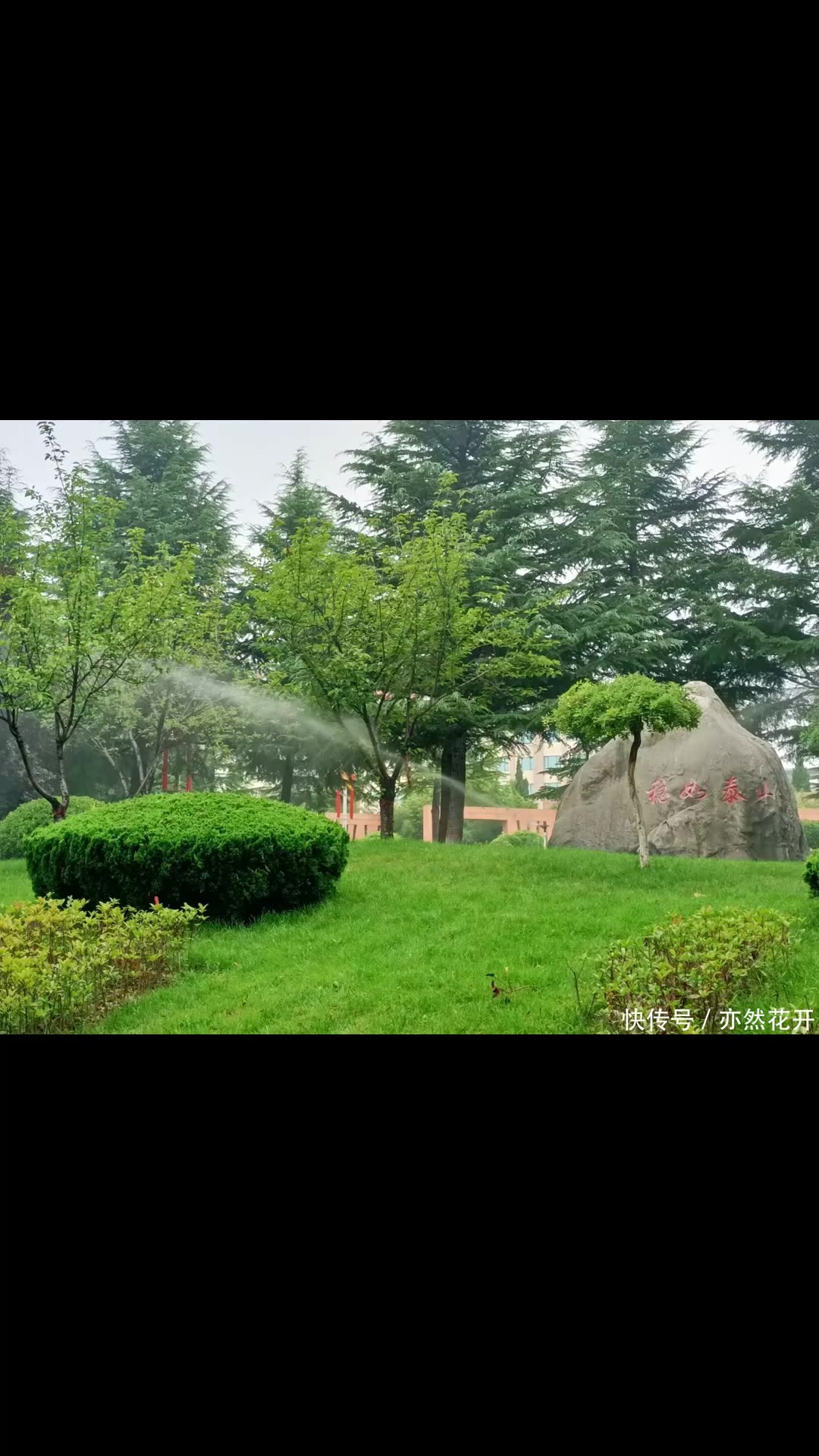 余生且行且暖,与时光握手言欢
