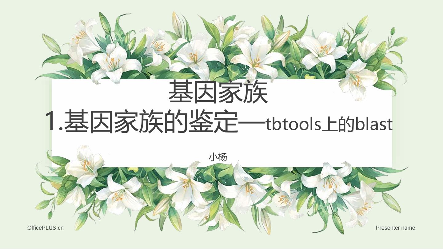 1.基因家族的鉴定,通过tbtools的同源比对blast方法
