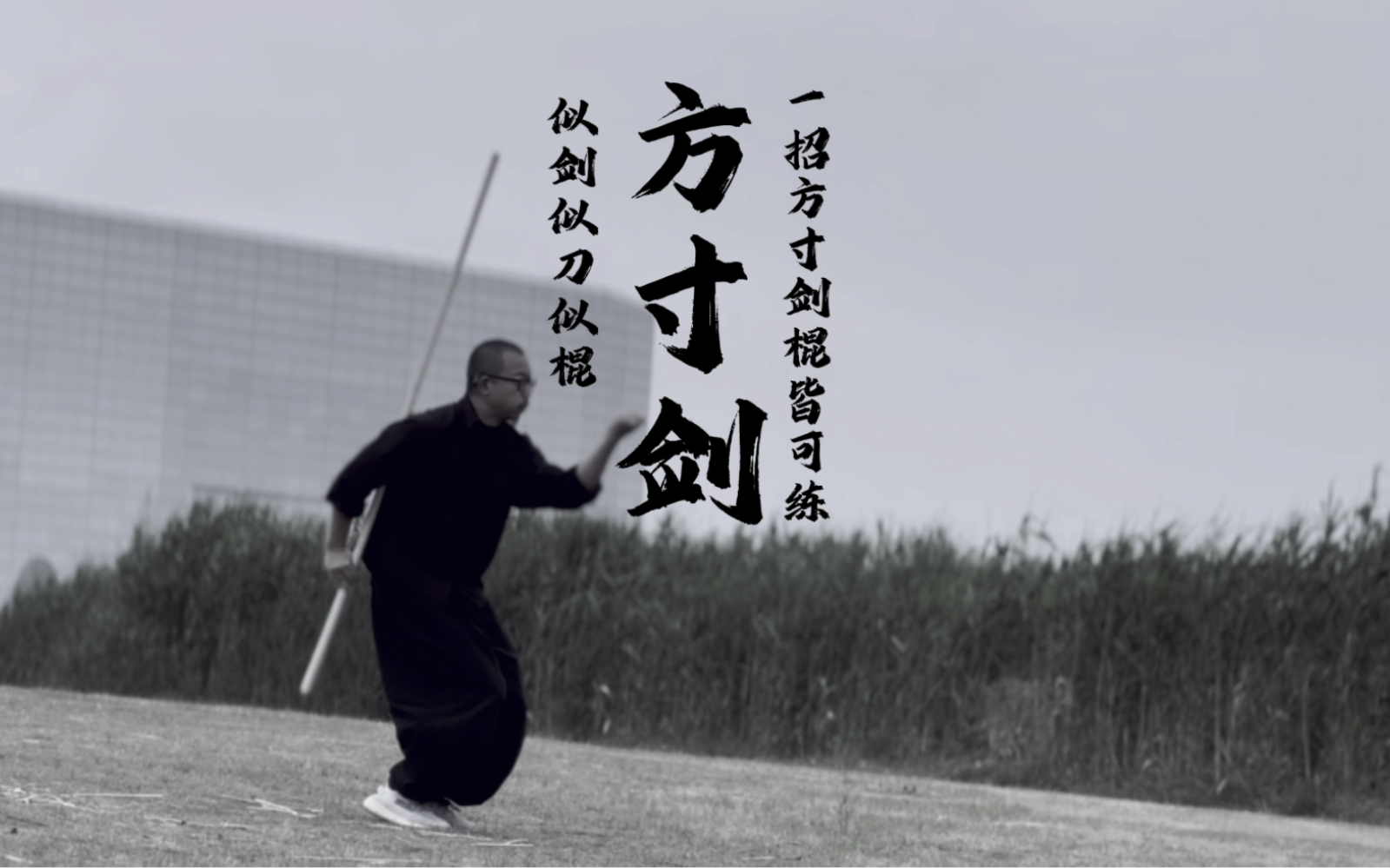 棍演方寸剑,似剑似刀似棍,无需设限,双手皆相通,拿来就可练,方寸剑#...