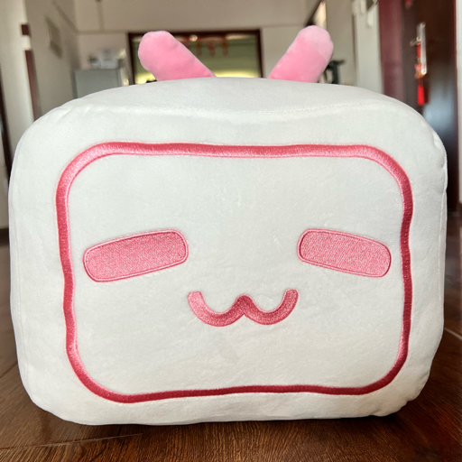 萌萌的大笨蛋 