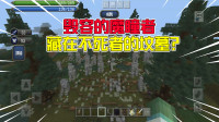 我的世界月蚀节点:毁容的魔瞳者藏身之地,任务完成还能交易?游戏真...