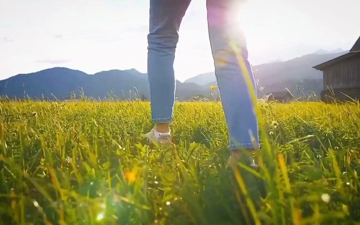 搜索书生课堂-品牌策划