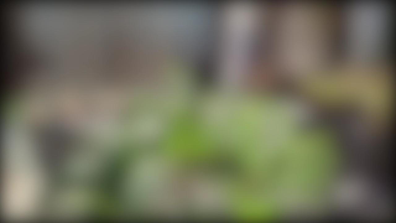 宋代茶艺,在茶叶生产制作方式变化与社会精神价值取向变化的共同...