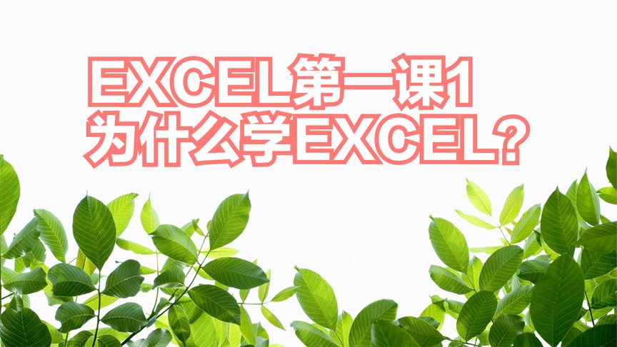零基础入门学习办公软件EXCEL,15~20天文职工作没问题。第一课1