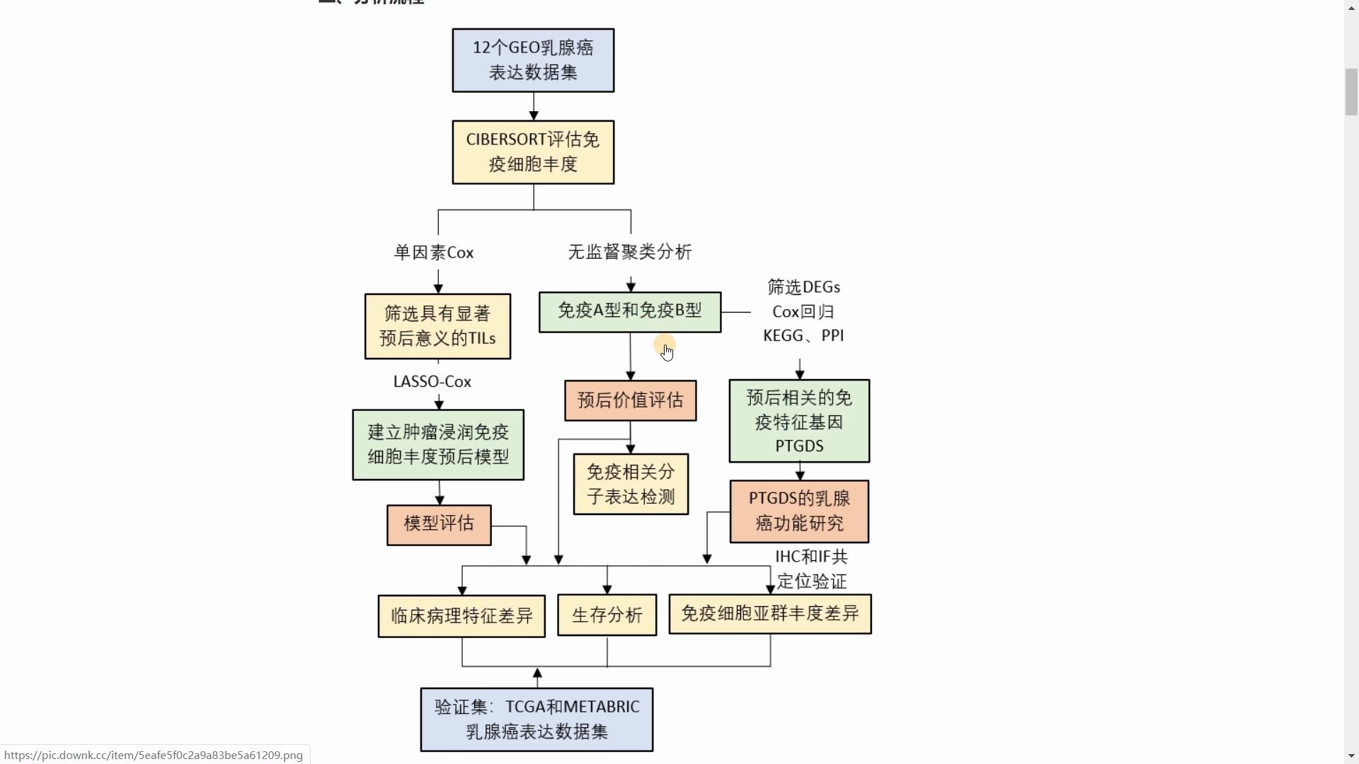 基于免疫相关基因的分子分分型:补个免疫组化发3+分