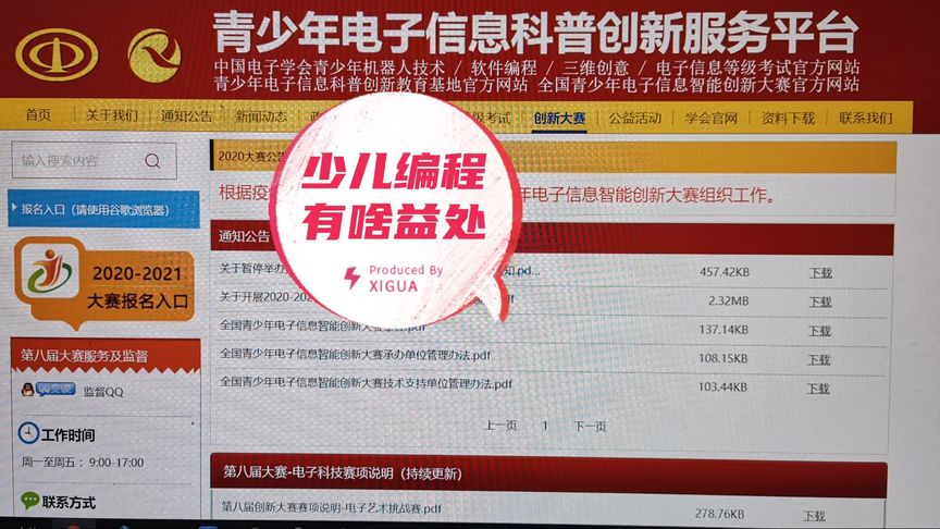 总纲:青少儿编程有啥益处?仅仅是乐趣?