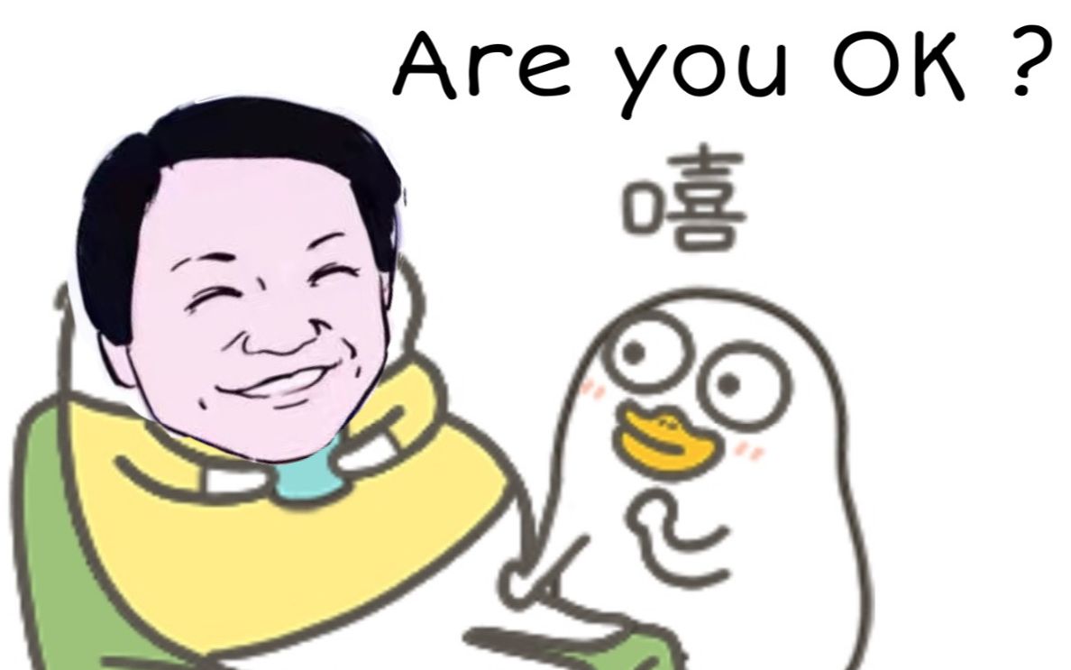 以小刘鸭表情包的方式打开雷总的“Are you OK”