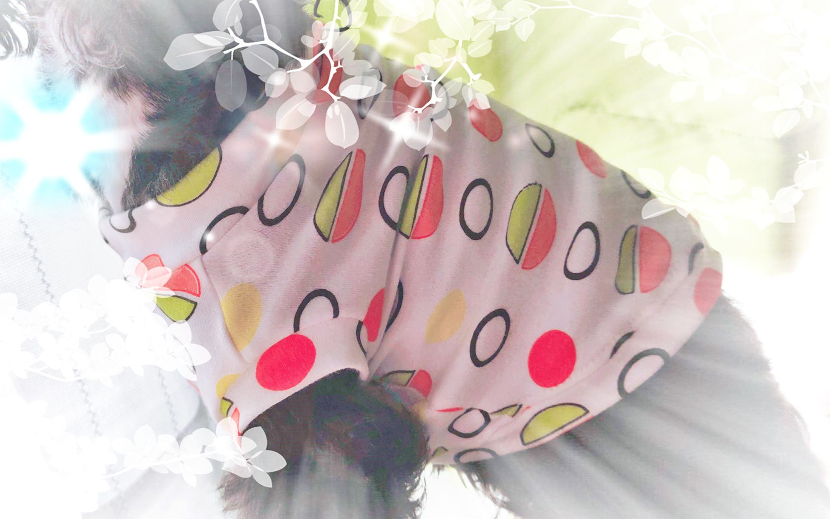宠物衣服如何制作?看完视频是不是觉得很简单呢。