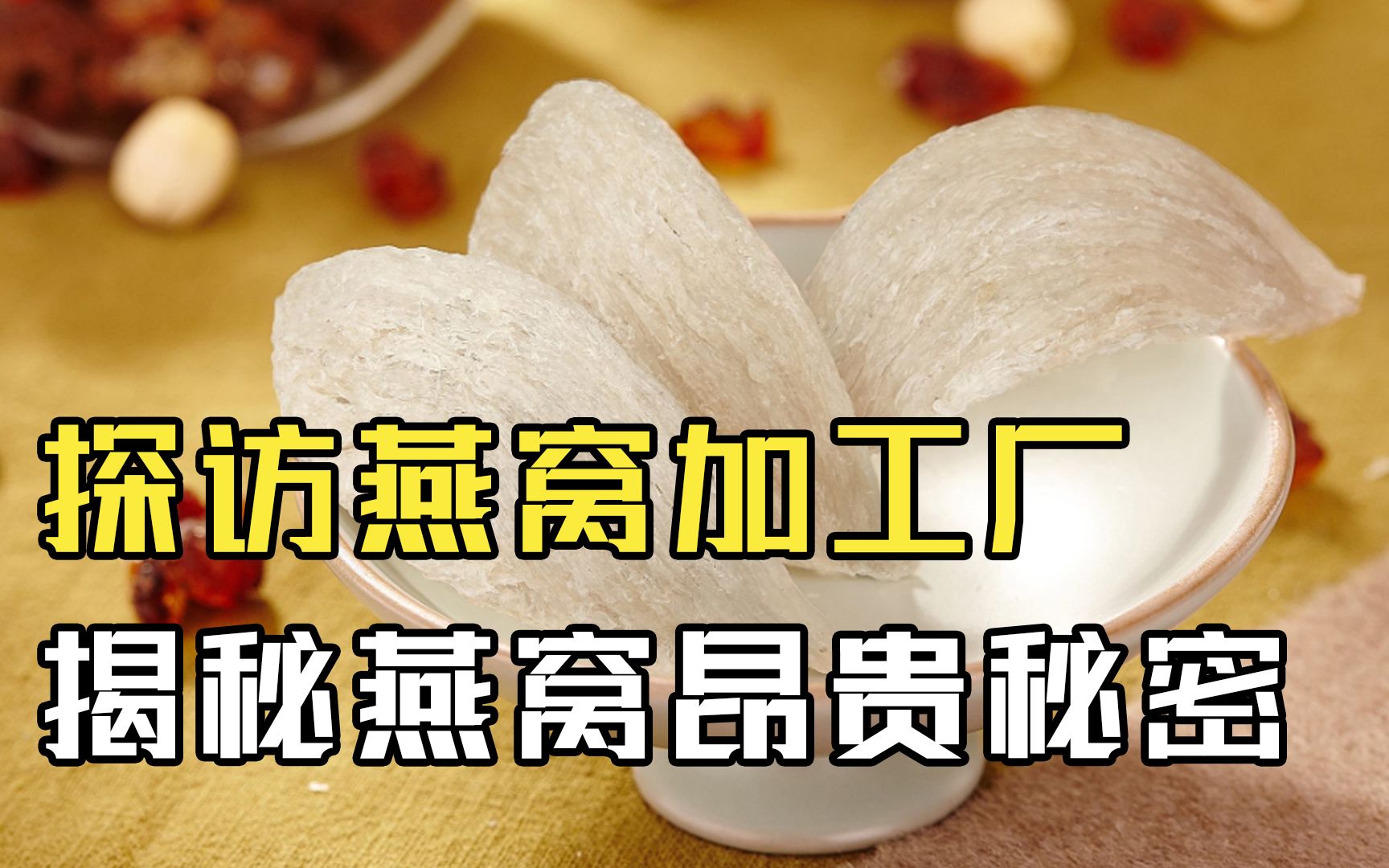 探访燕窝加工厂,揭秘燕窝到底为什么这么贵?你交过智商税吗?