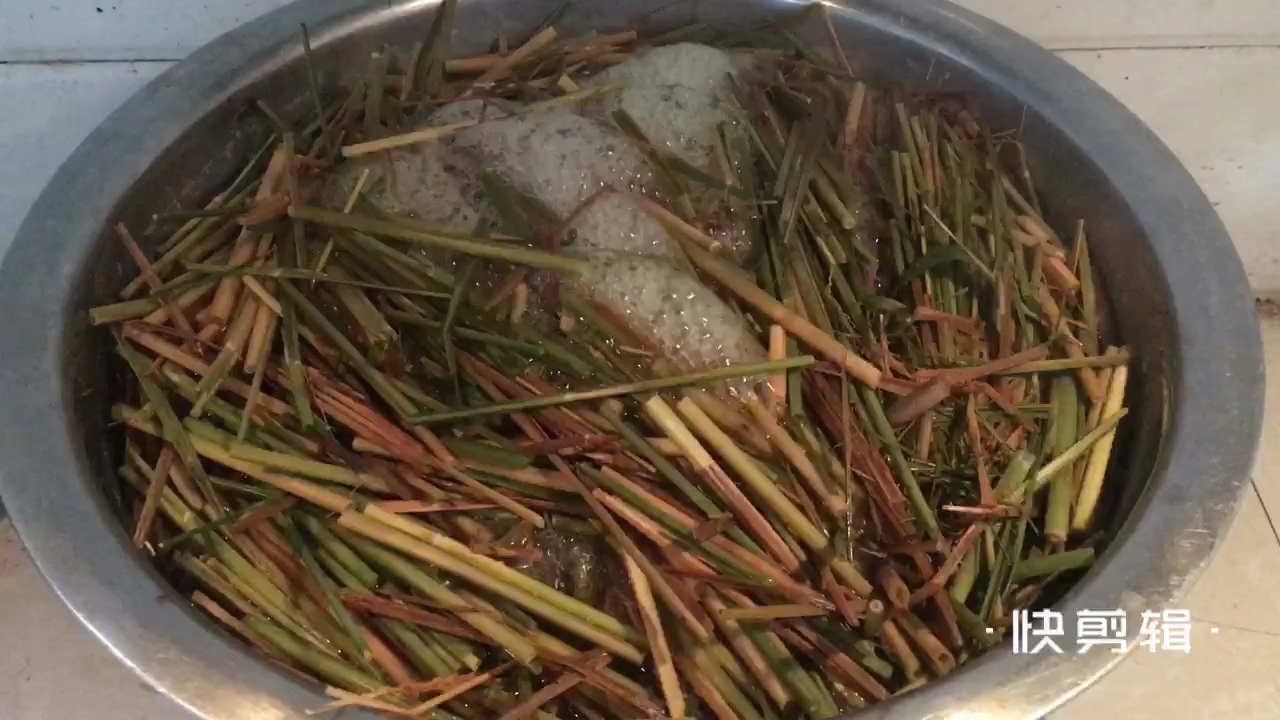 观背青鳉开口活食-洄水(草履虫)的培育