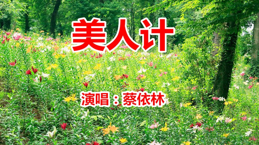 蔡依林《美人计》独特的嗓音满满的回忆!
