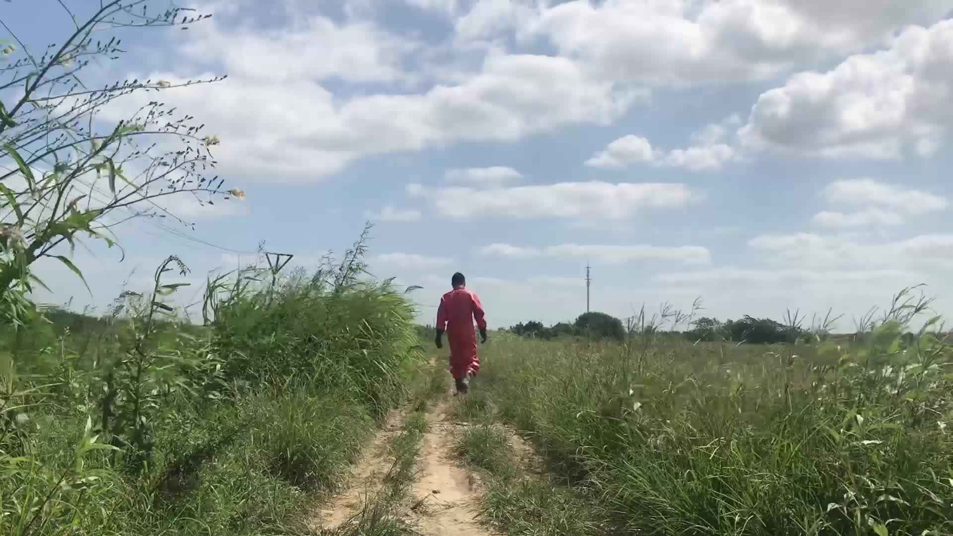 【猎奇之旅第一期】水中人参芡实采,此物秋来日常食