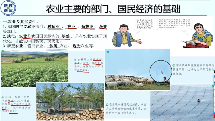 1、农业的主要部门、国民经济的基础产业