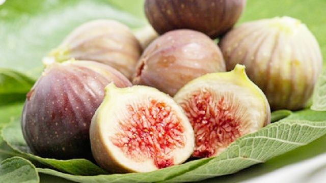 小小无花果效用竟如此大,无花果的作用与功效你都知道吗?