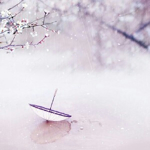 丨雪卿 