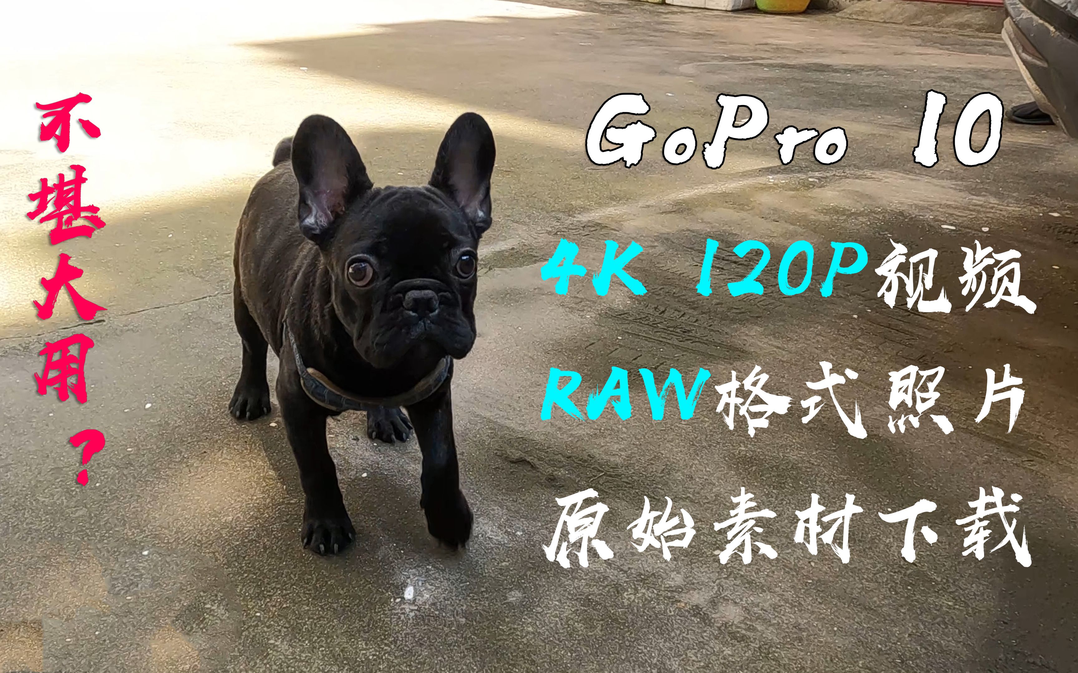 GoPro Hero 10 Black 评测日常 原始4K 120P视频素材 RAW格式照片...