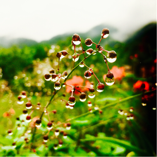 冉老师讲数学 