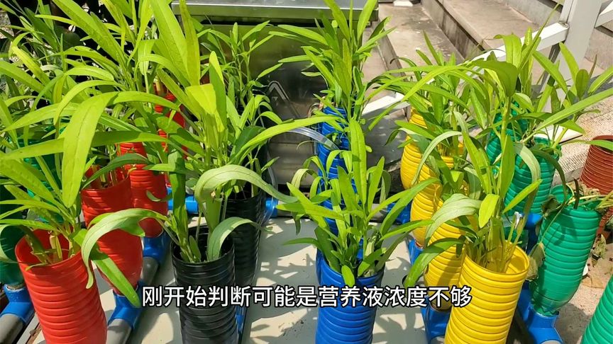 发现问题,分析问题,解决问题,关于昨天比对实验翻车的问题